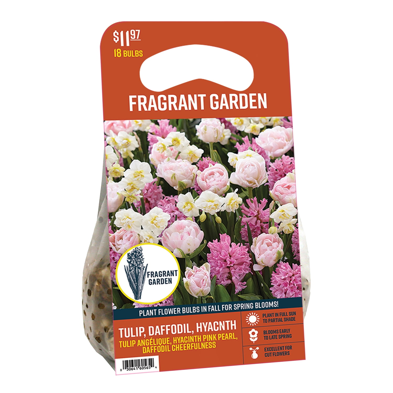 Van Zyverden's Tulip/Daff/Hyac Fragrant Garden (Set of 18 Dormant Bulbs ...