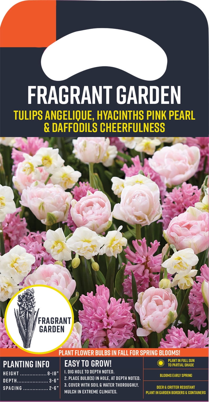 Van Zyverden's Tulip/Daff/Hyac Fragrant Garden (Set of 18 Dormant Bulbs ...