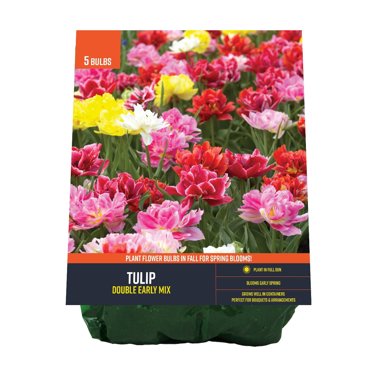Van Zyverden Tulip Double Early Mix (Set of 5 Dormant Bulbs) Full Sun ...