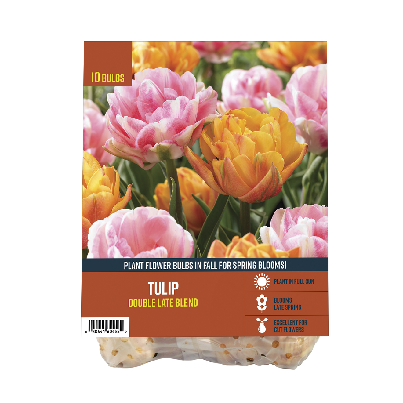 Van Zyverden's Tulip Double Late Blend (Set of 10 Dormant Bulbs) Full ...
