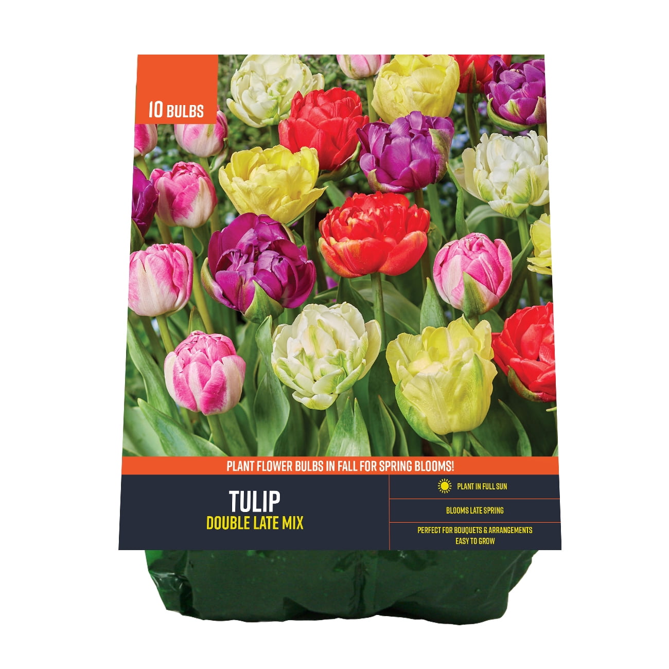 Van Zyverden's Tulip Double Late Mix (Set of 10 Dormant Bulbs) Full Sun ...