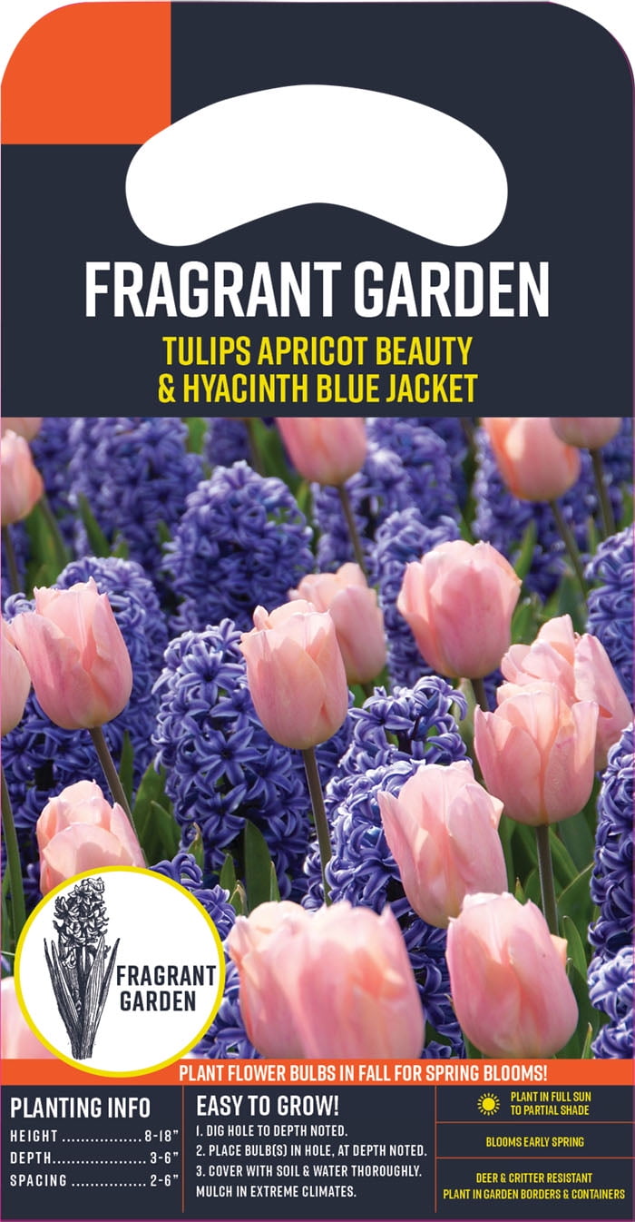 Van Zyverden's Tulip/Hyac Fragrant Garden (Set of 18 Dormant Bulbs ...