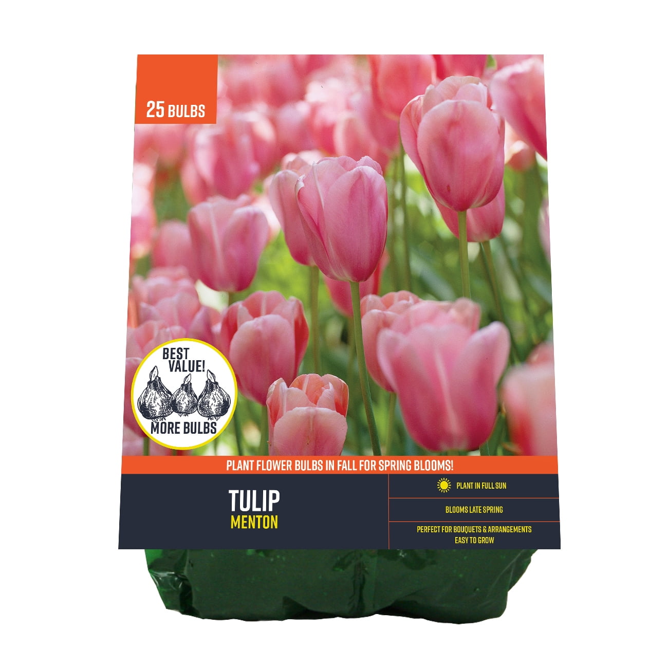 Van Zyverden Tulip Menton (Set of 25 Dormant Bulbs) Full Sun, Pink ...