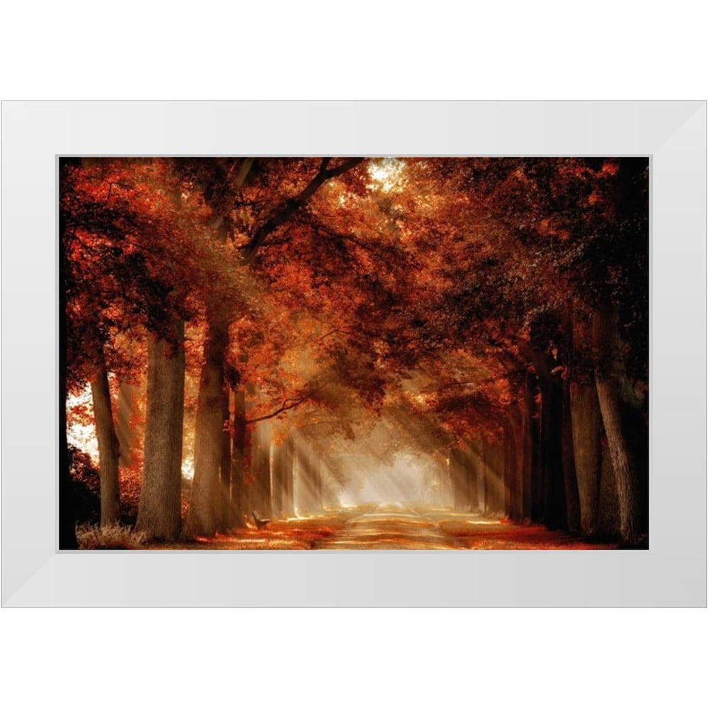 Van de Goor, Lars 14x11 White Modern Wood Framed Museum Art Print ...