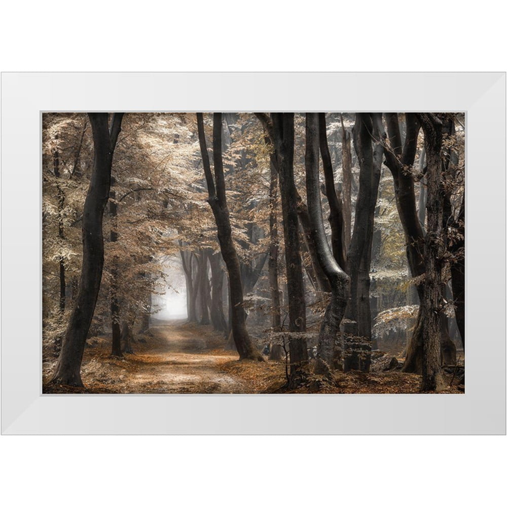 Van de Goor, Lars 18x13 White Modern Wood Framed Museum Art Print Titled - Forest Dimension ...