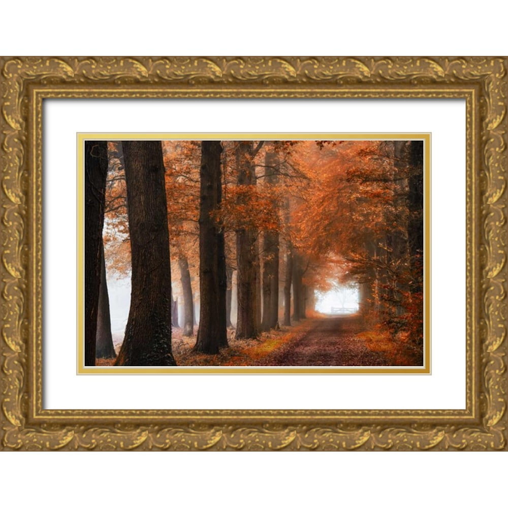 Van de Goor, Lars 24x17 Gold Ornate Wood Framed with Double Matting Museum Art Print Titled ...