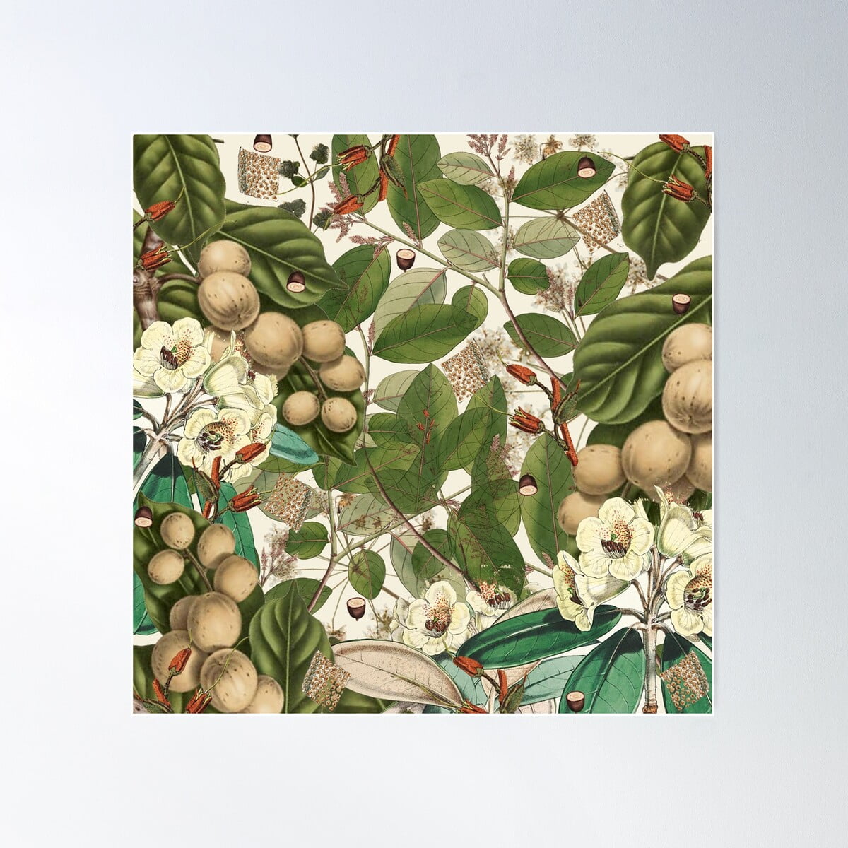 Vanilla Collage Poster Wall Art, Modern Wall Decor For Living Room ...