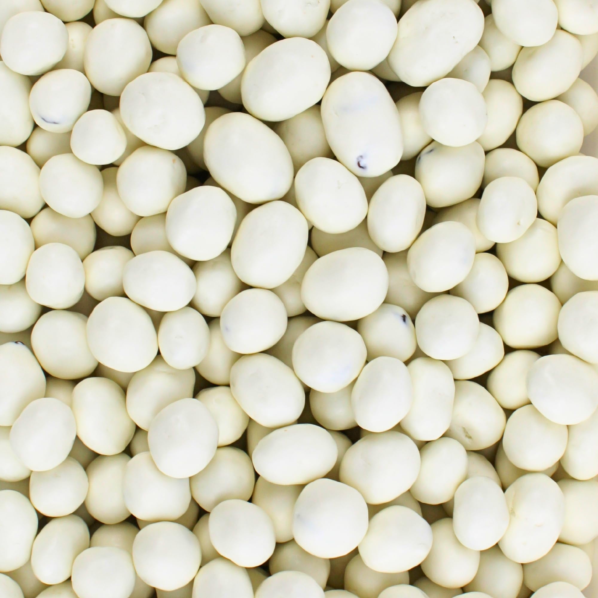 Vanilla Yogurt Covered Raisins DPF11 Bulk - Plump Yogurt Covered Fruit ...