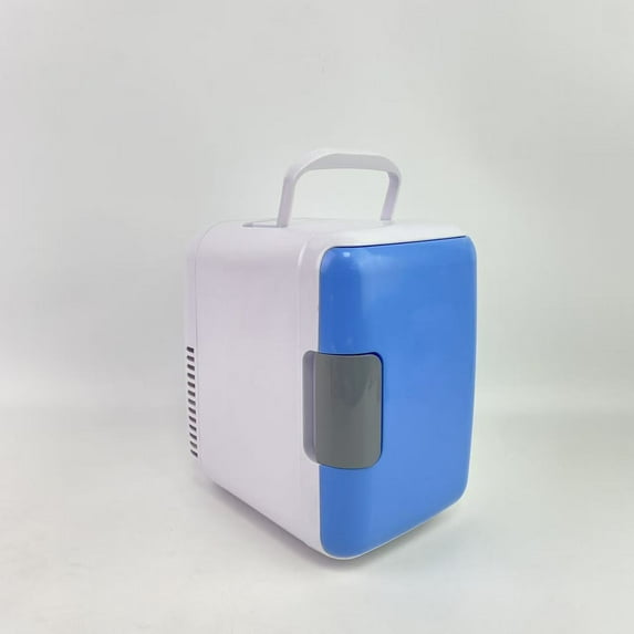 Vanis Portable refrigerators,Mini Fridge,10L/12 Can Luxury Skin Care ...