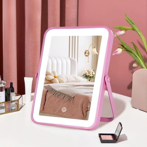 Vanity Mirror with Lights, 10"x7" Mirror with Lights, Touch Control ...