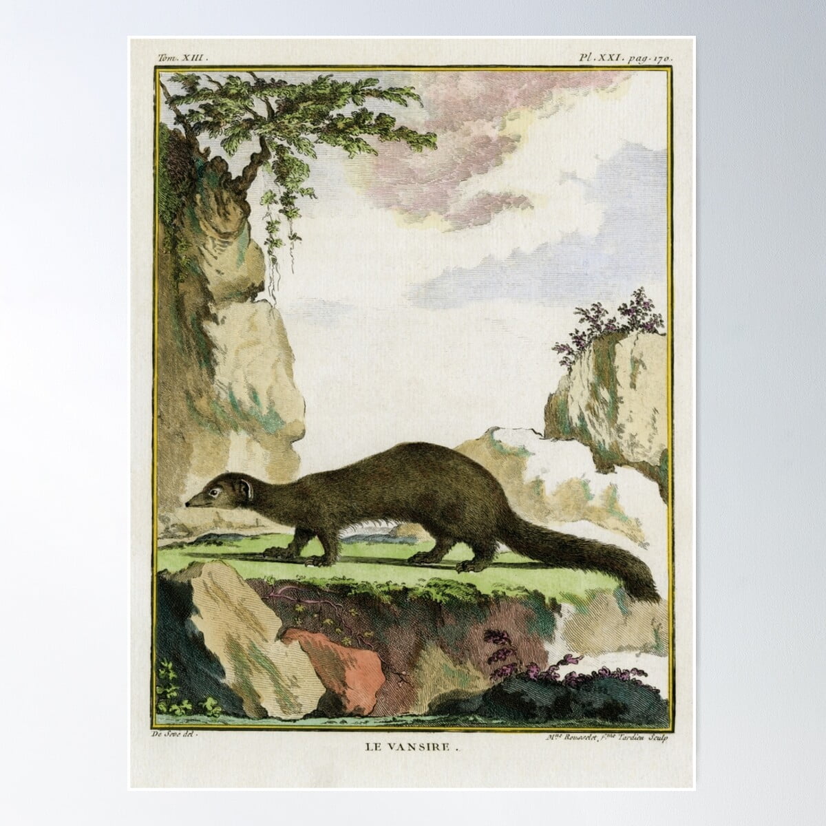 Vansire, Drawn In 1780 Poster Wall Art, Modern Wall Decor For Living ...