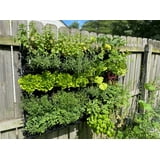 Varden Vertical Garden 24 - Self Watering, 4 Row, 24 Plant, Wall ...