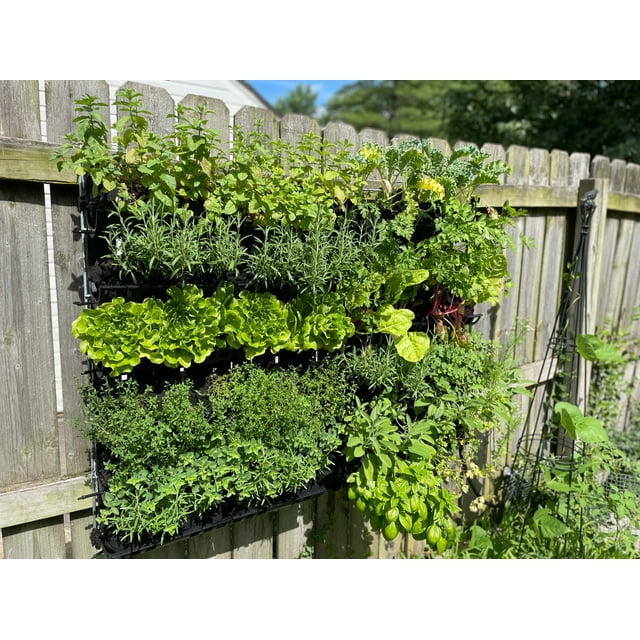 Varden Outdoor Hanging Vertical Garden 24 - Self Watering, 4 Row, 24 ...