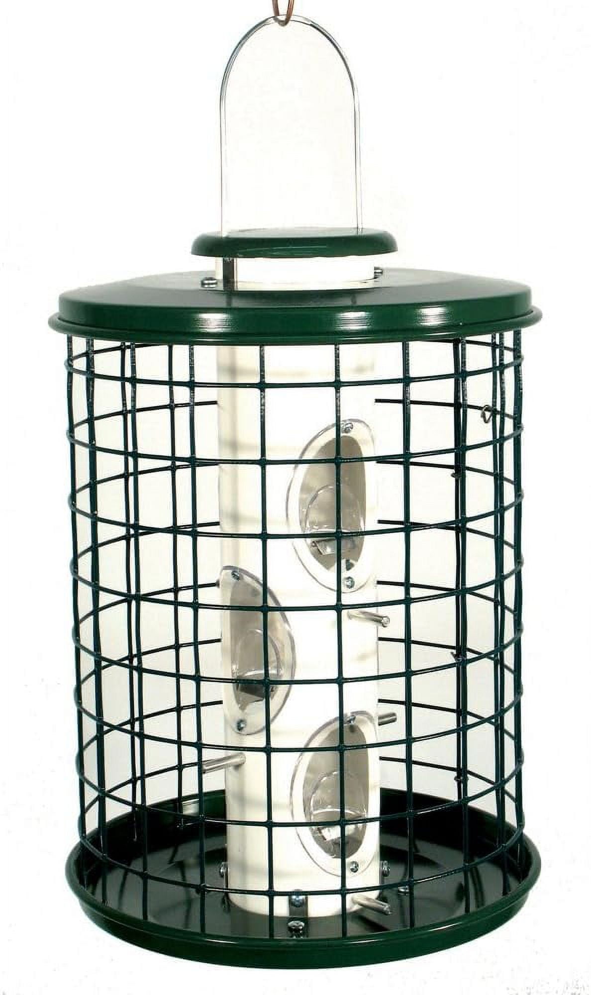 Varicraft AV5M Avian Wild Mixed Seed Feeder with Cage 3 Pound - Walmart.com