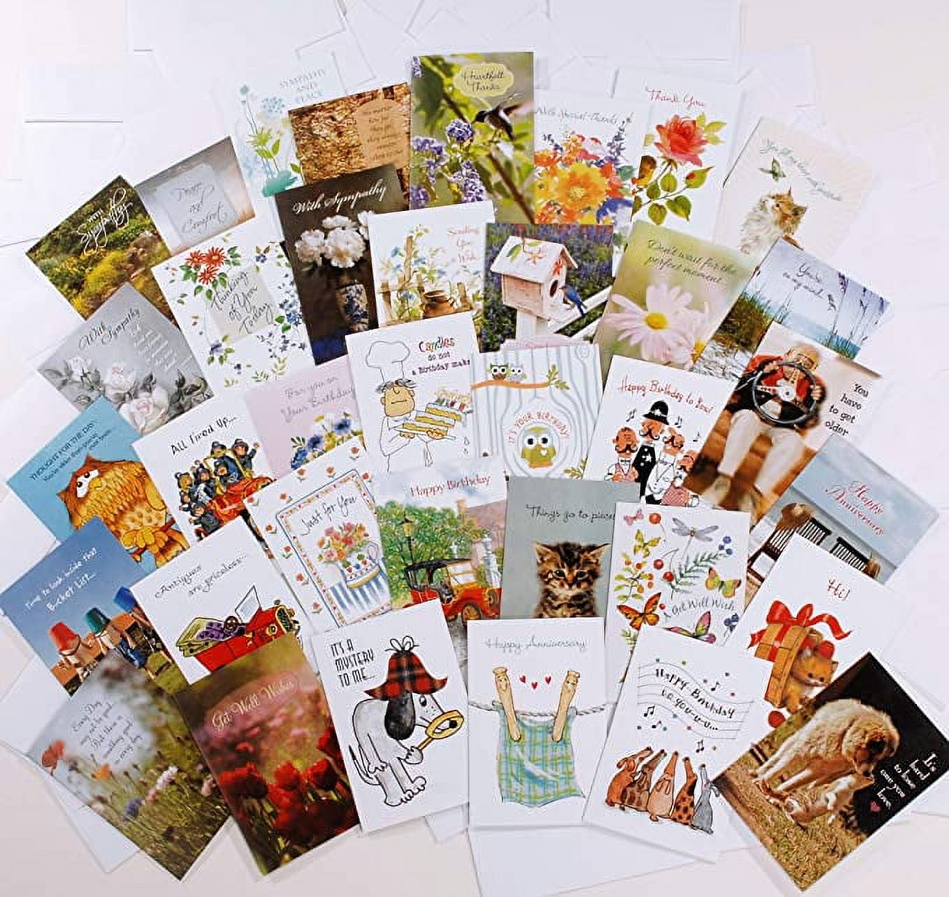 Fravessi Bulk Assorted Occasion Greeting Card Set | 36 Humorous Cards ...