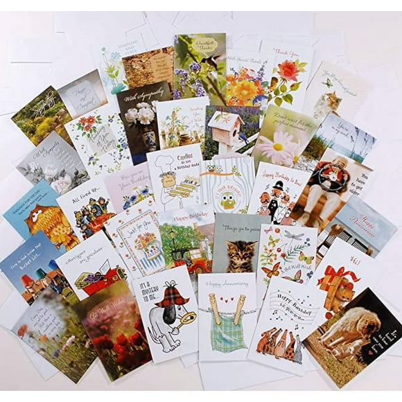 Funny Birthday Cards Box Set