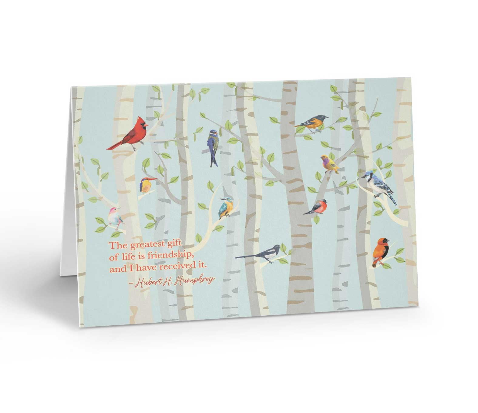 Variety of Birds Blank Note Card - 10 Note Cards and Envelopes - Birds ...