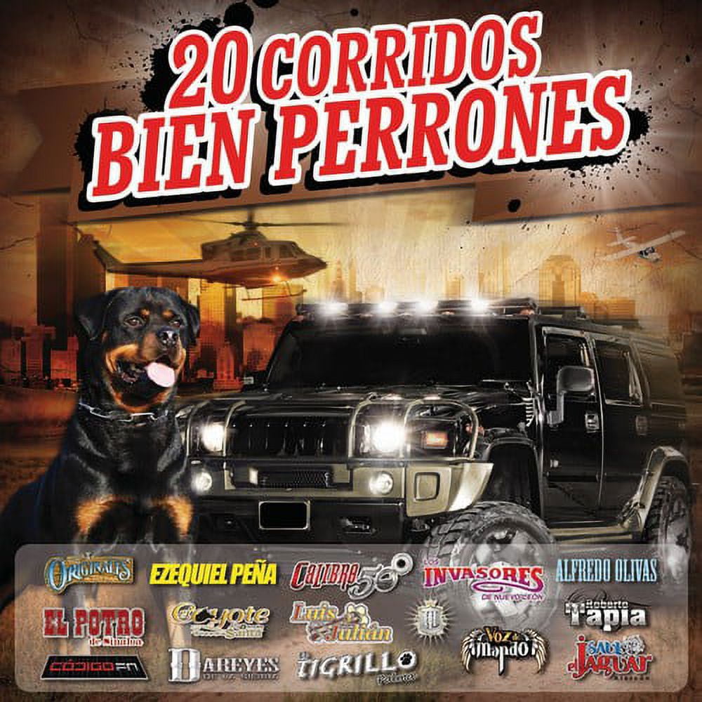 Various Artists - 20 Corridos Bien Perrones (CD) - Walmart.com
