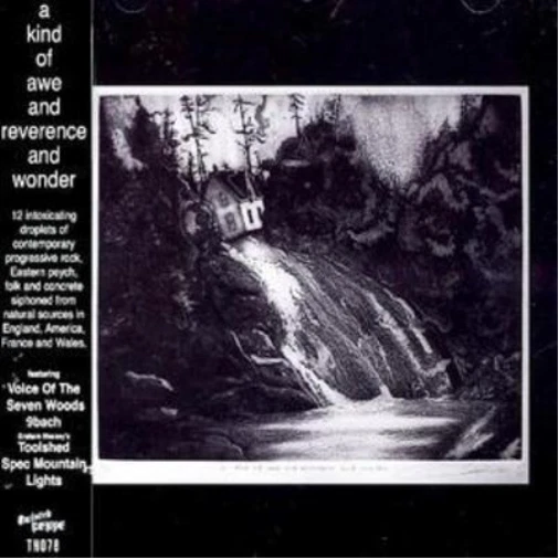 Various Artists A Kind Of Awe And Reverence (Cd) Album - Walmart.com