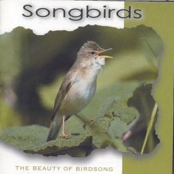 Pre-Owned - Various Artists Birdsong (Songbirds The Beauty of Birdsong ...