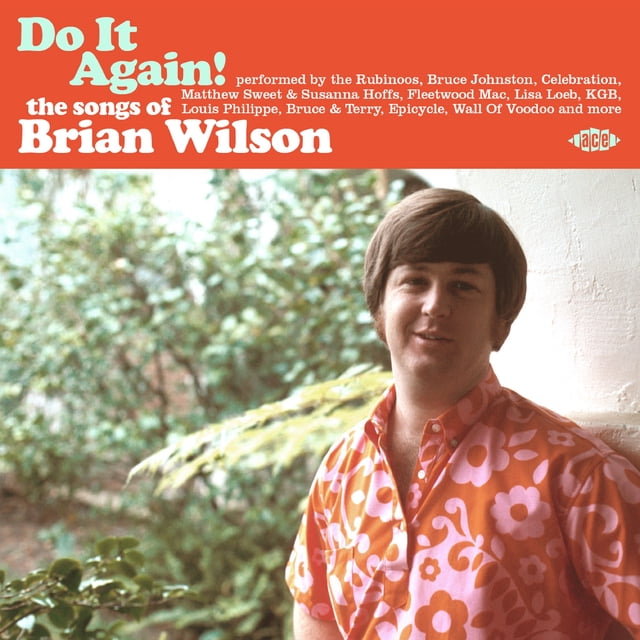 Various Artists - Do It Again! The Songs Of Brian Wilson / Various ...