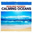 Various Artists - Healing Sounds - Calming Oceans - Music & Performance - CD - Walmart.com