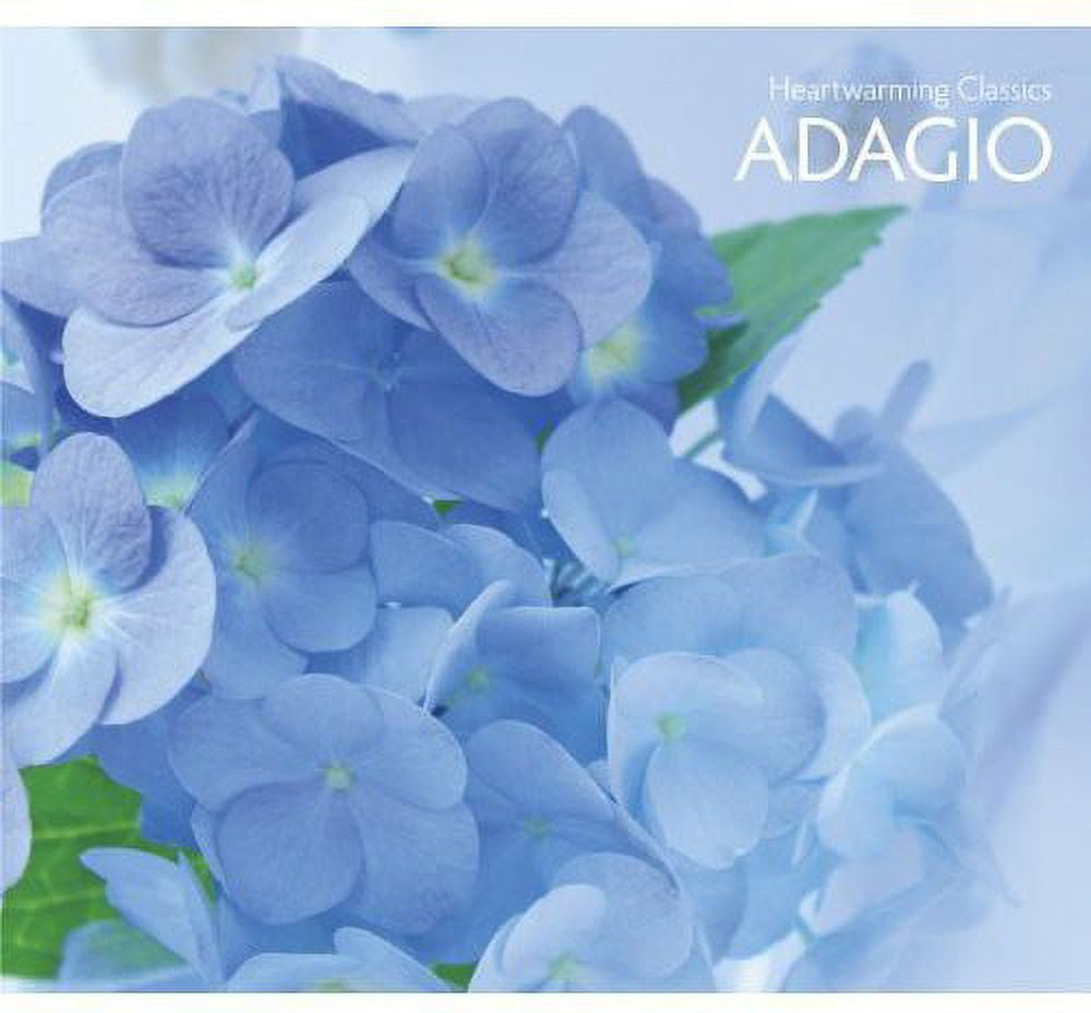 Various Artists - Heartwarming Classics 6. Adagio / Various - Music ...