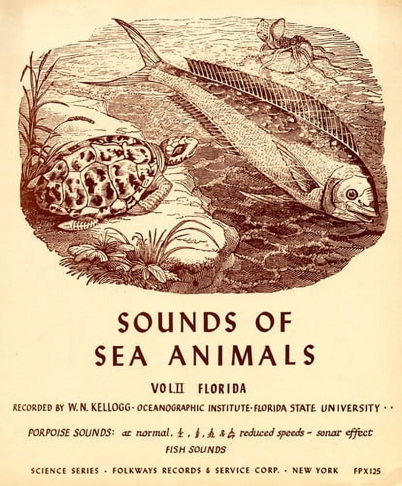 Various Artists - Sounds Sea Animals 2: FL / Various - Soundtracks - CD ...