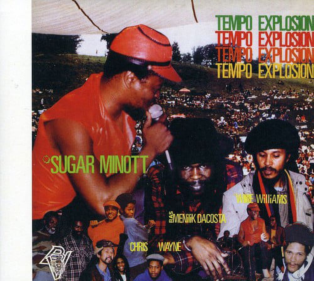 Various Artists - Tempo Explosion - World / Reggae - CD - Walmart.com