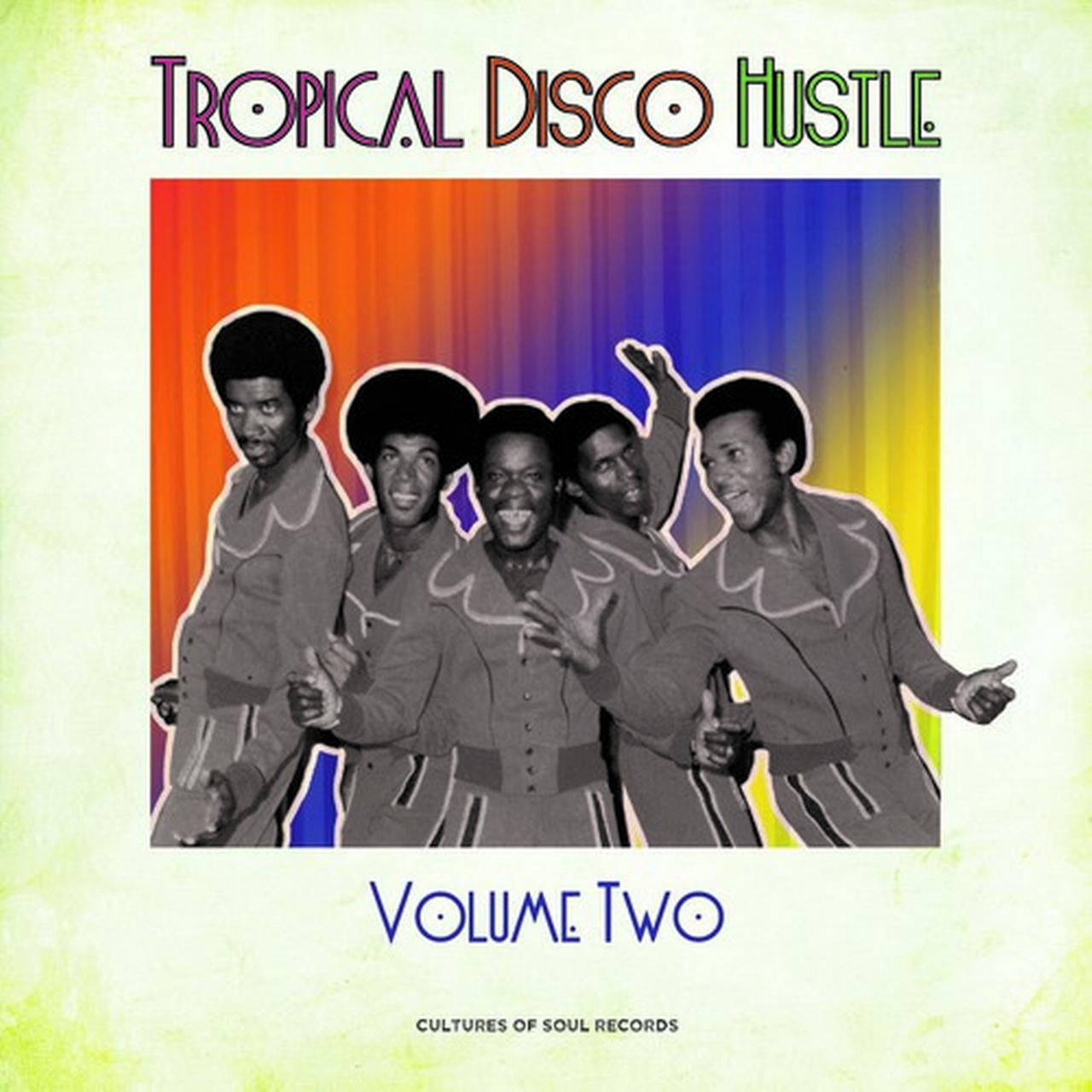 Various Artists - Tropical Disco Hustle 2 - Electronica - CD - Walmart.com