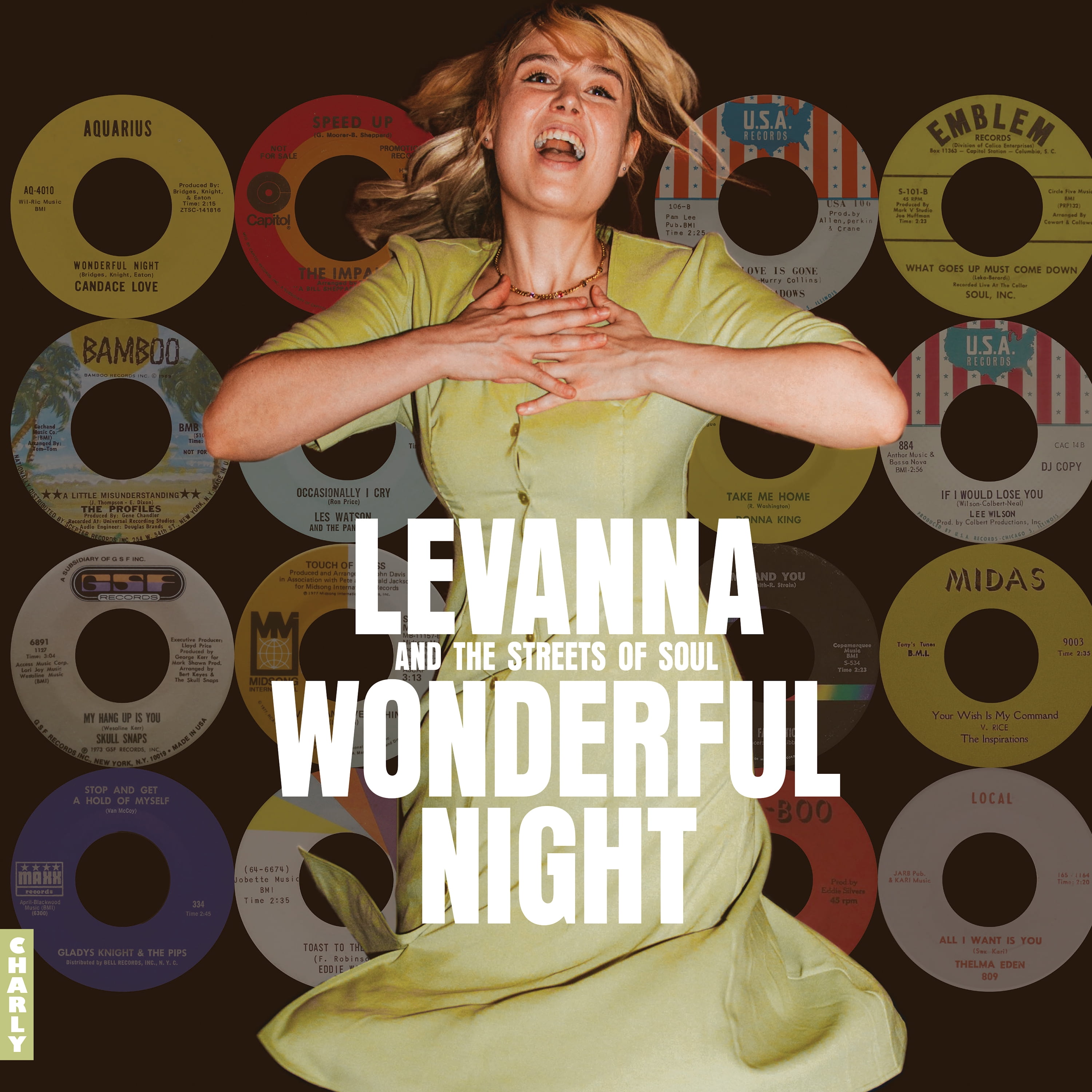 Various Artists - Wonderful Night Curated By Levanna (Various Artists ...