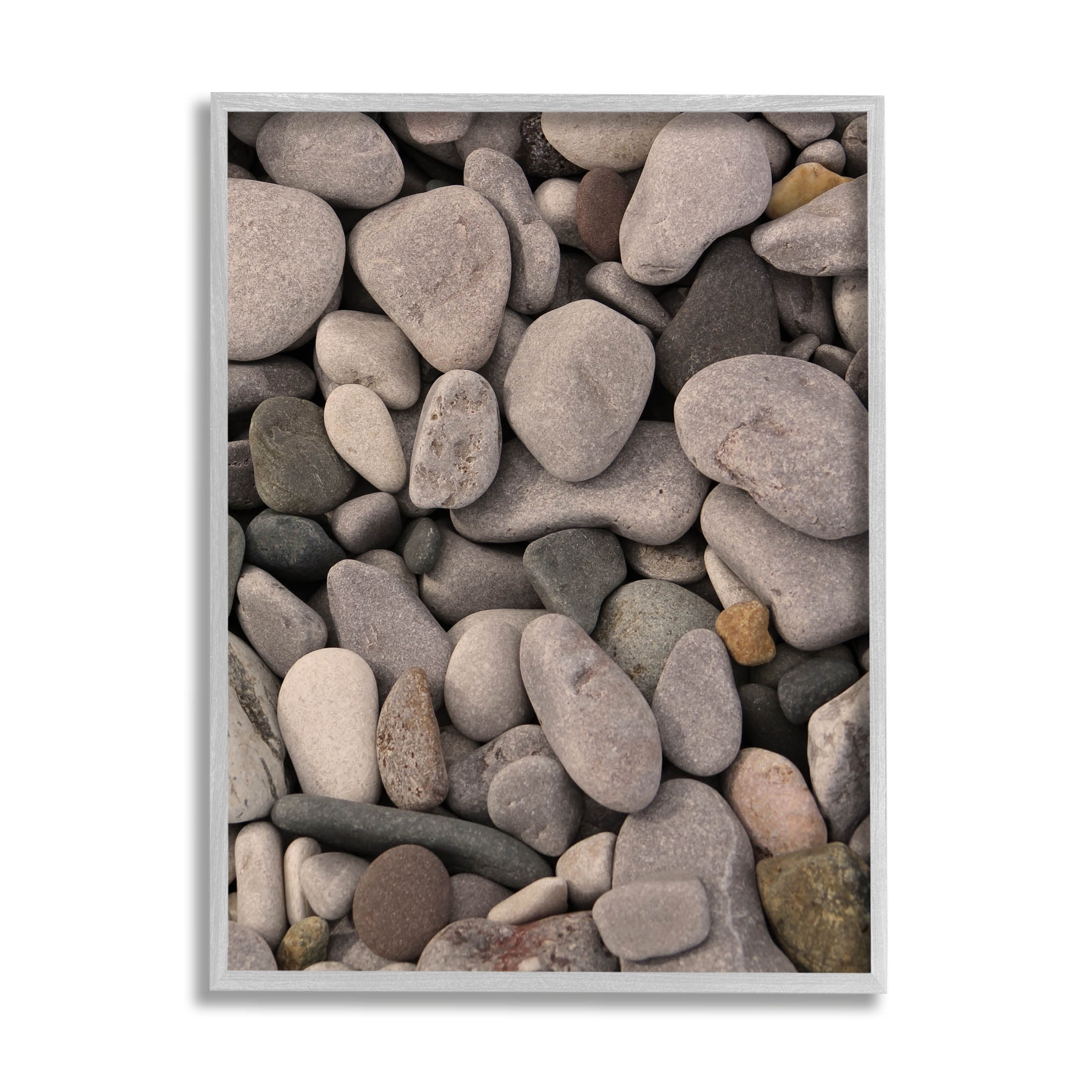 Various Beach Pebbles Composition Coastal Photograph Gray Framed Art ...