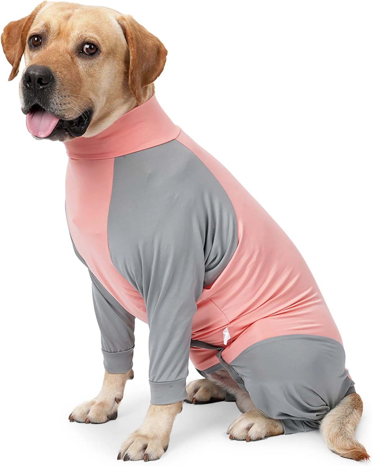 Various Color Dog Onesie Surgery Recovery Suit, Abdominal Wound After ...
