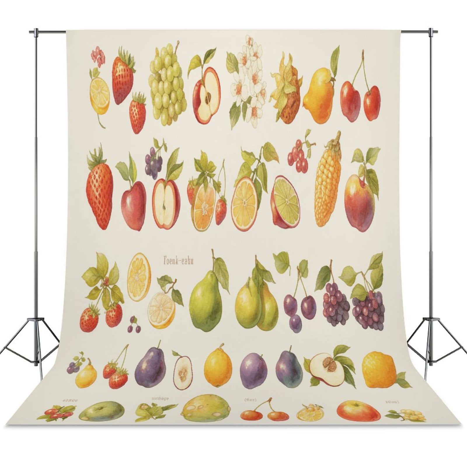 Various Fruits Backdrop Background for Photography Photo Booth Backdrop ...