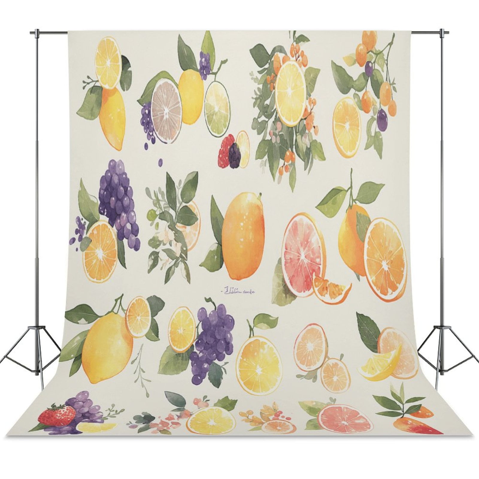Various Fruits Spring Wall Backdrop Background Floral Backdrops 5x7FT ...