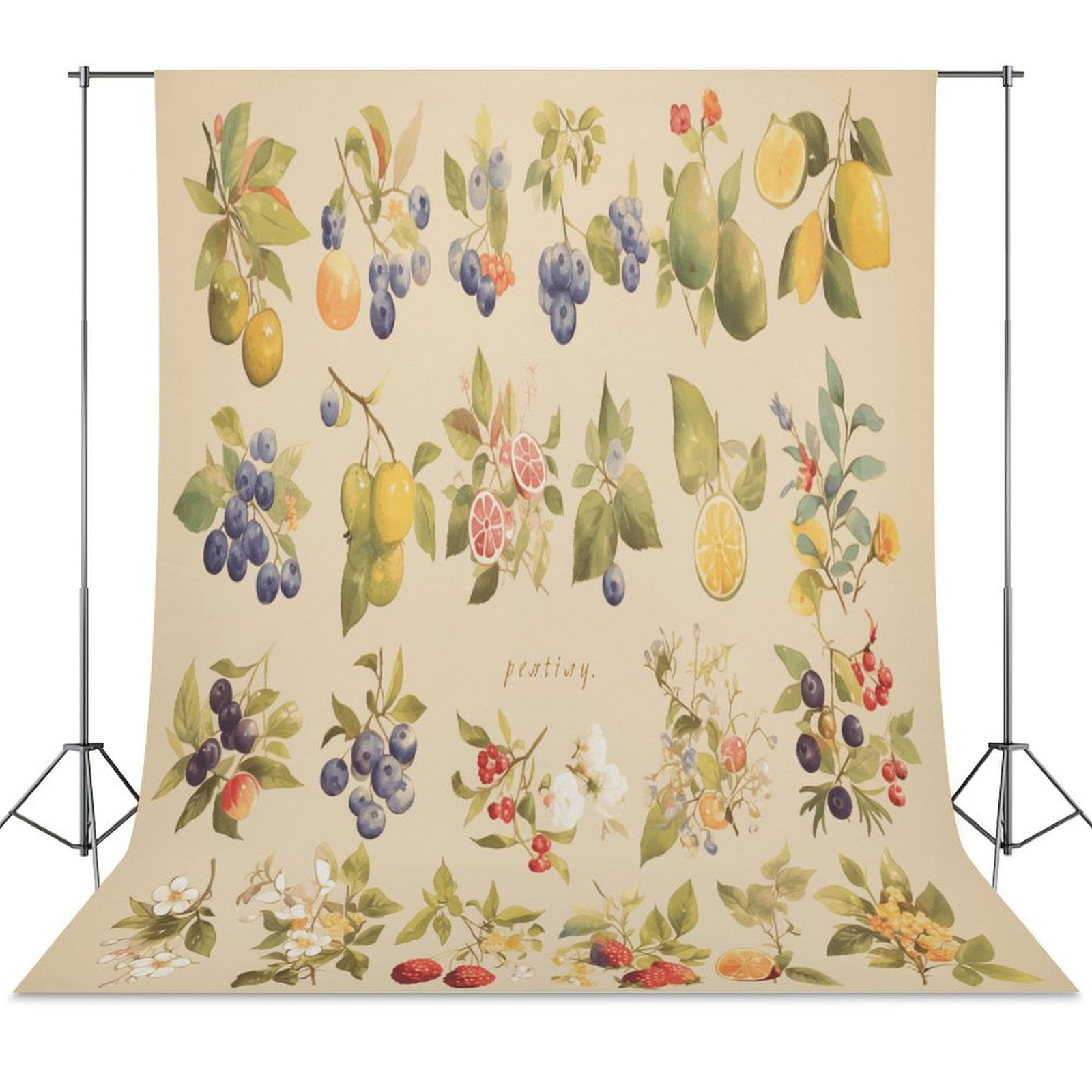 Various Fruits Spring Wall Backdrop Background Floral Backdrops 5x7FT ...