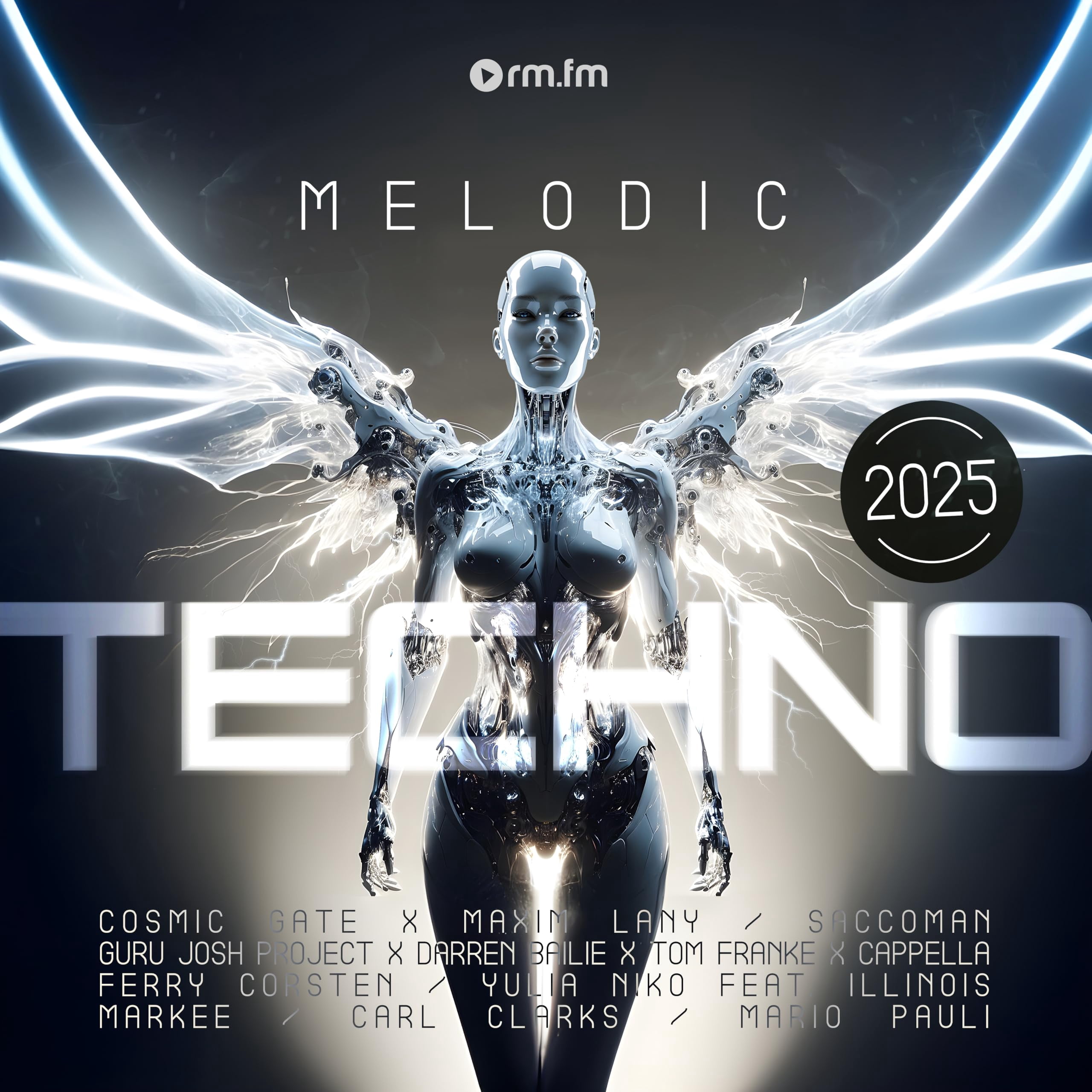 Various Melodic Techno 2025 (Vinyl Record) - Walmart.com