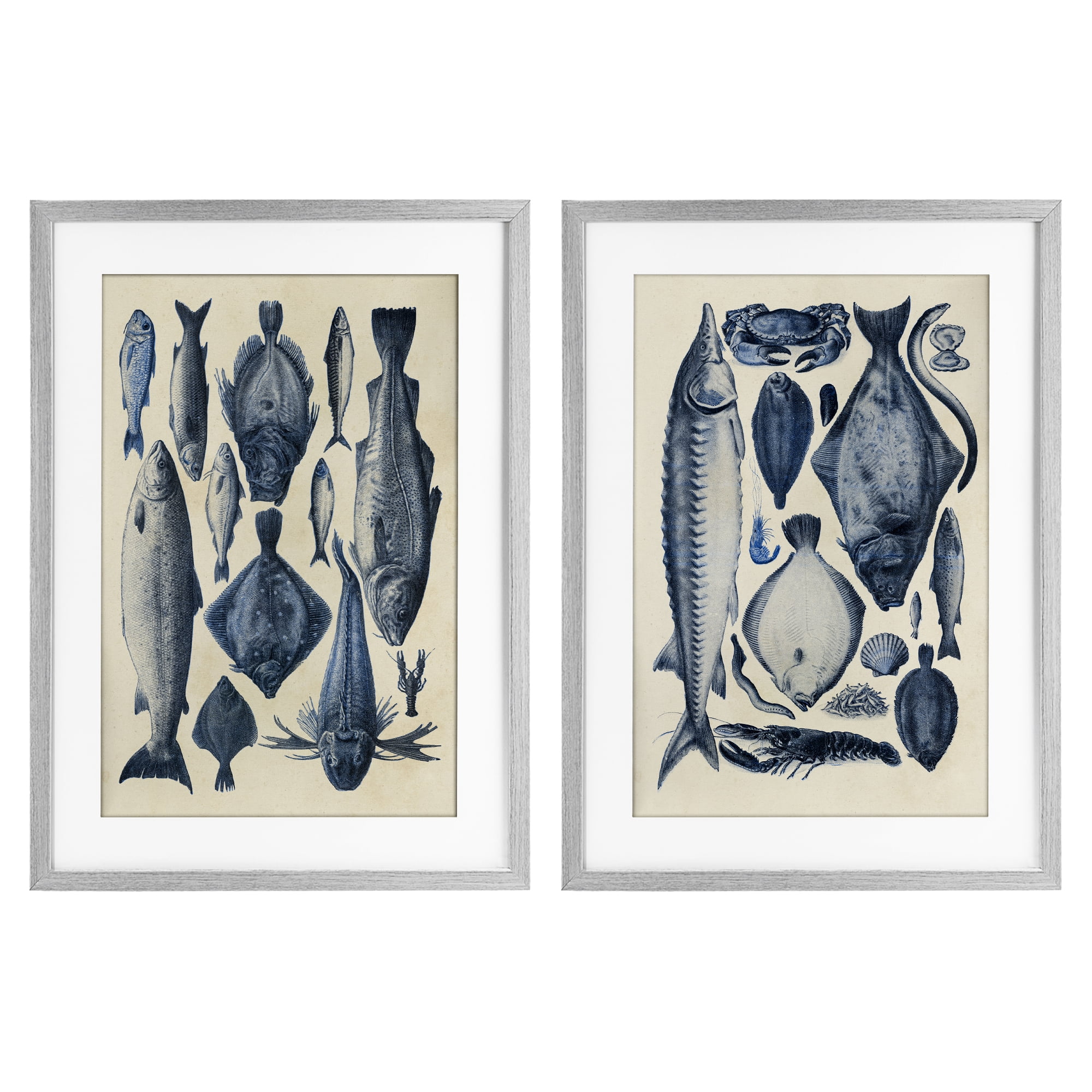 Stupell Industries Various Vintage Blue Fish Chart 2 Piece Gray Framed ...