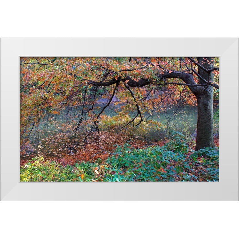 Varona, Verne 32x22 White Modern Wood Framed Museum Art Print Titled ...