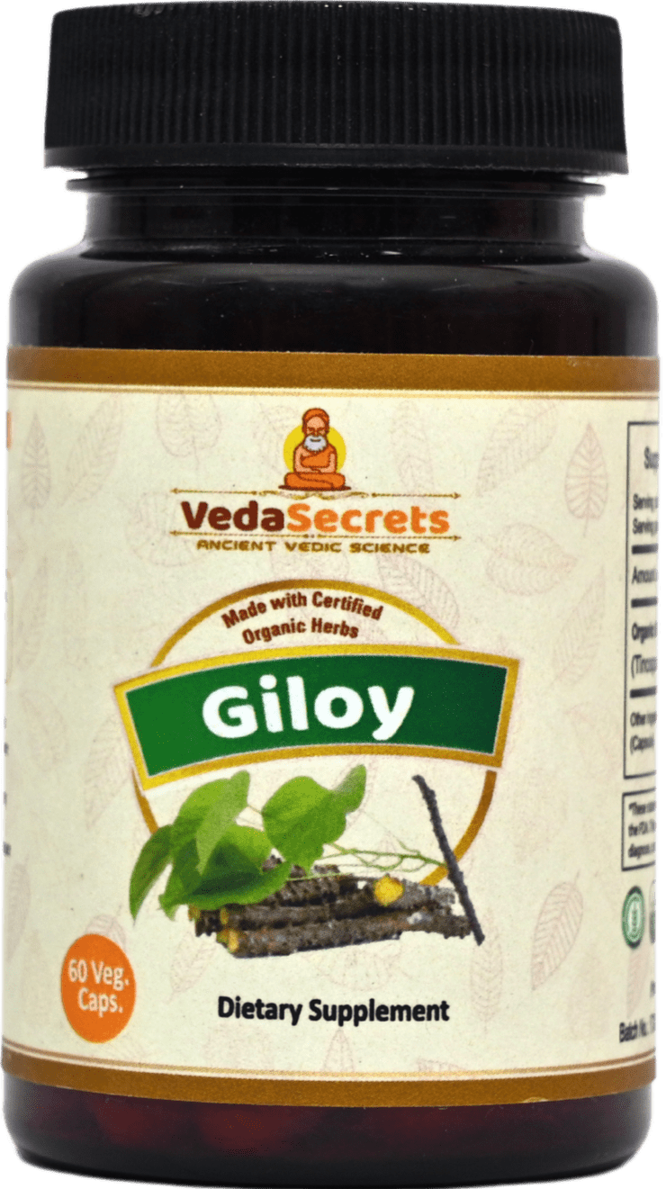 VedaSecrets Giloy Dietary Supplement (Tinospora Cordifolia) Made with ...