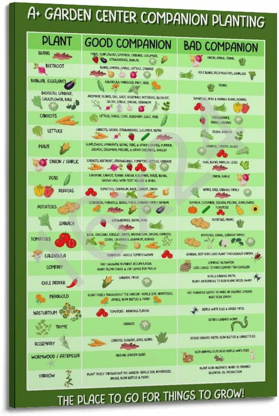 Vegetable Companion Planting Guide Poster Garden Poster Vegetable ...