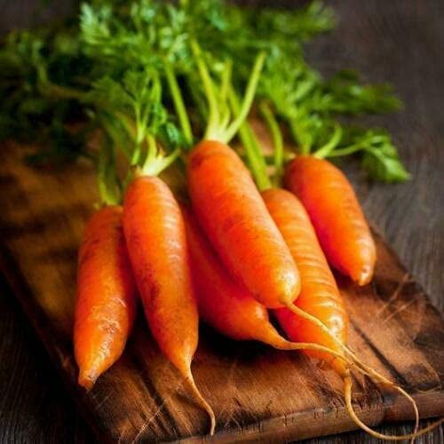 Vegetable Garden Seeds for Planting - Grow Heirloom Vegetables (Little ...