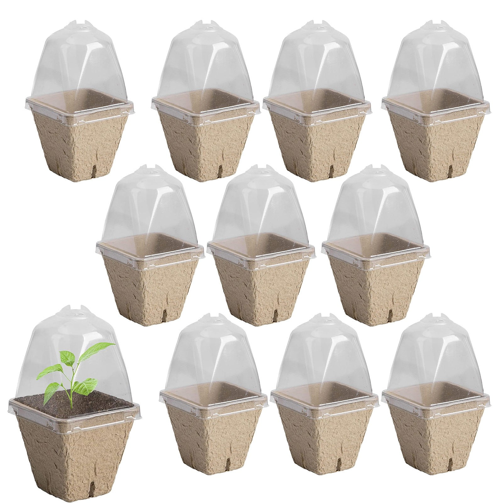 Vegetable Rack , Biodegradable Nursery Pots with Humidity Dome 3.1 Inch ...