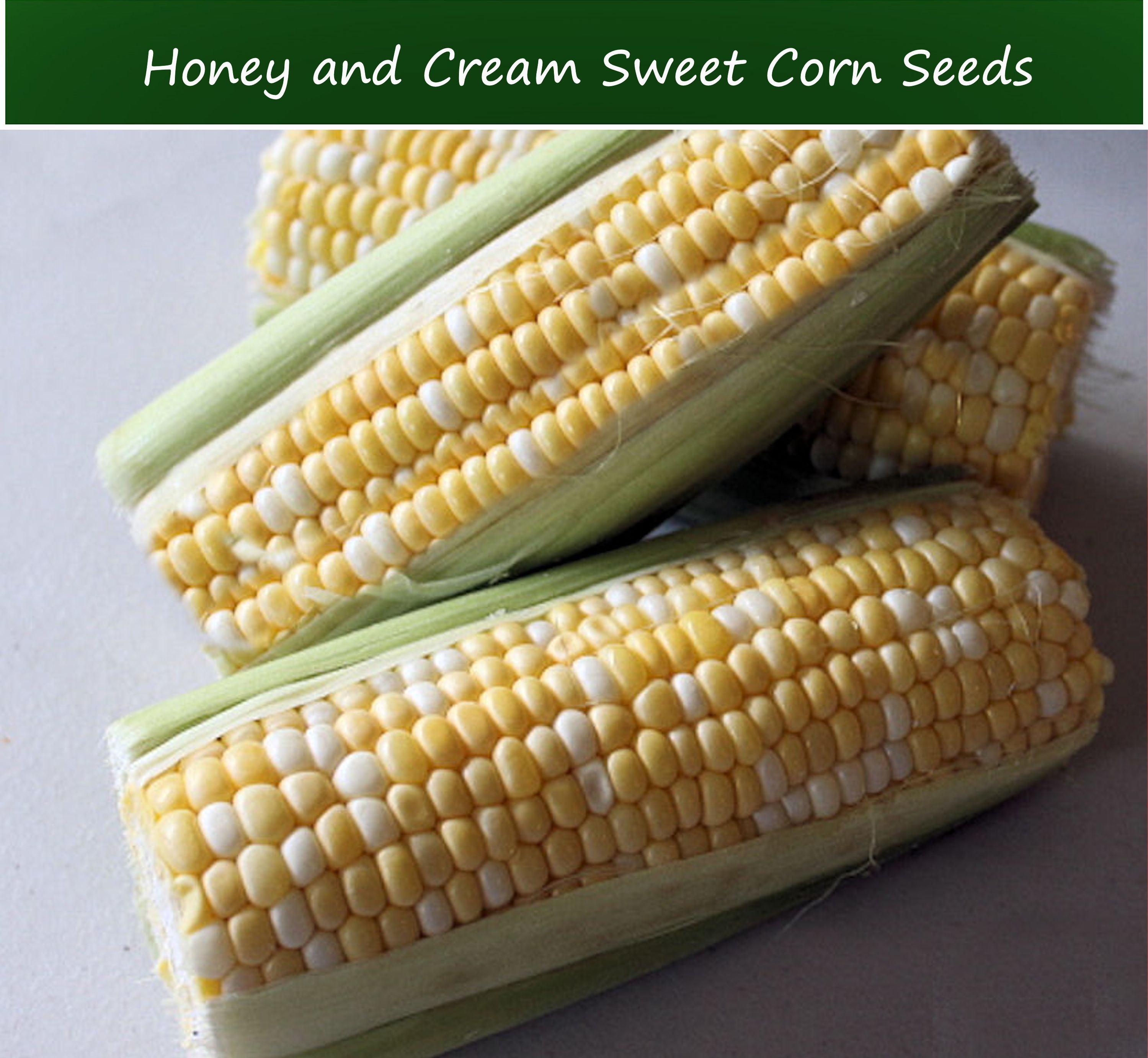 Vegetable Seeds- Honey & Cream Sweet Corn- Bi Color-50 Seeds- Two Sweet ...