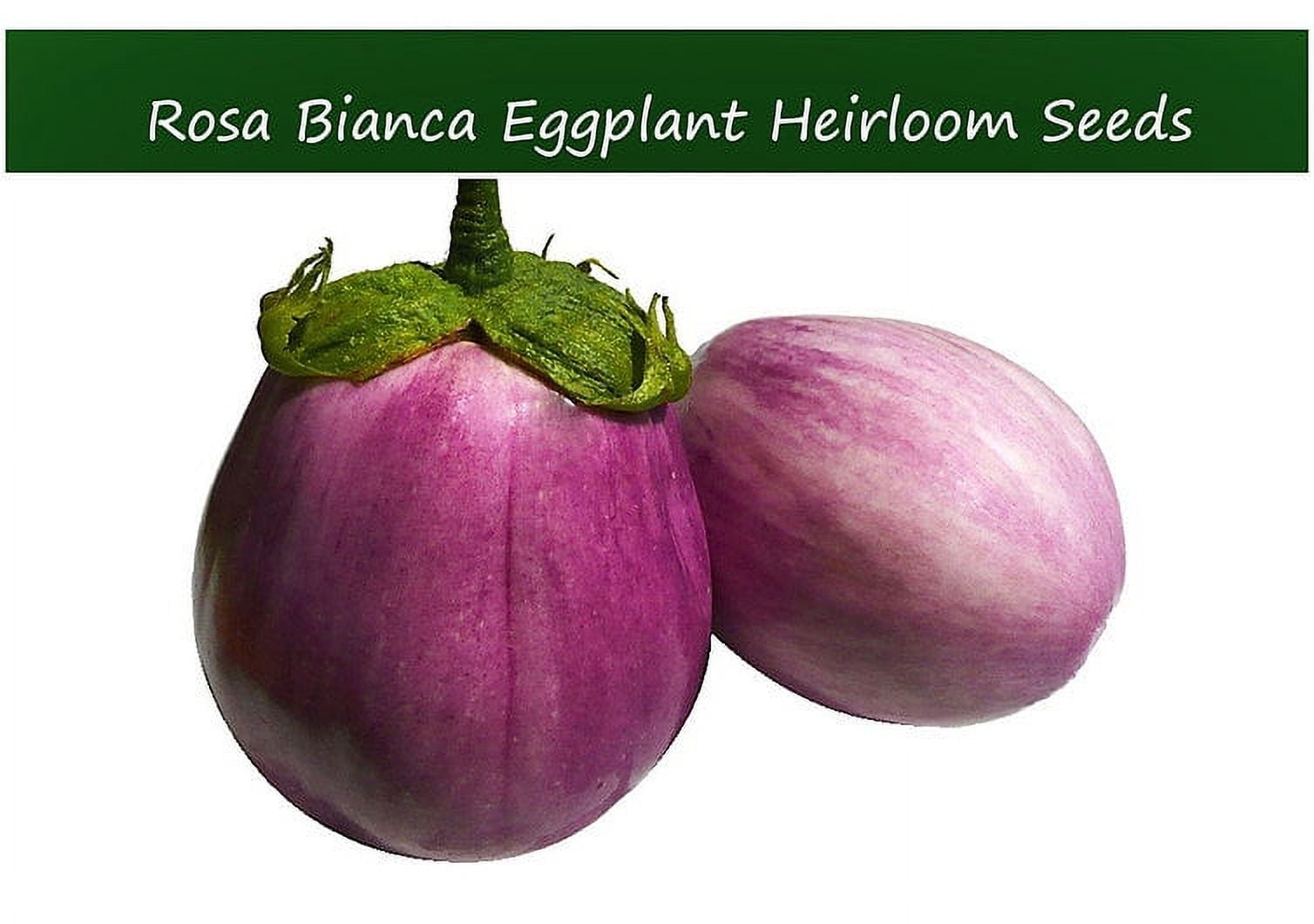 Vegetable Seeds -Rosa Bianca Eggplant -20 Heirloom Seeds - Grill or ...
