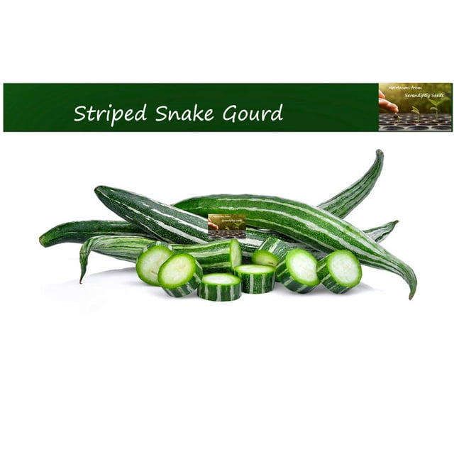 Vegetable Seeds -Snake Gourd- 5 Seeds -VERY RARE- Vine -ground cover ...