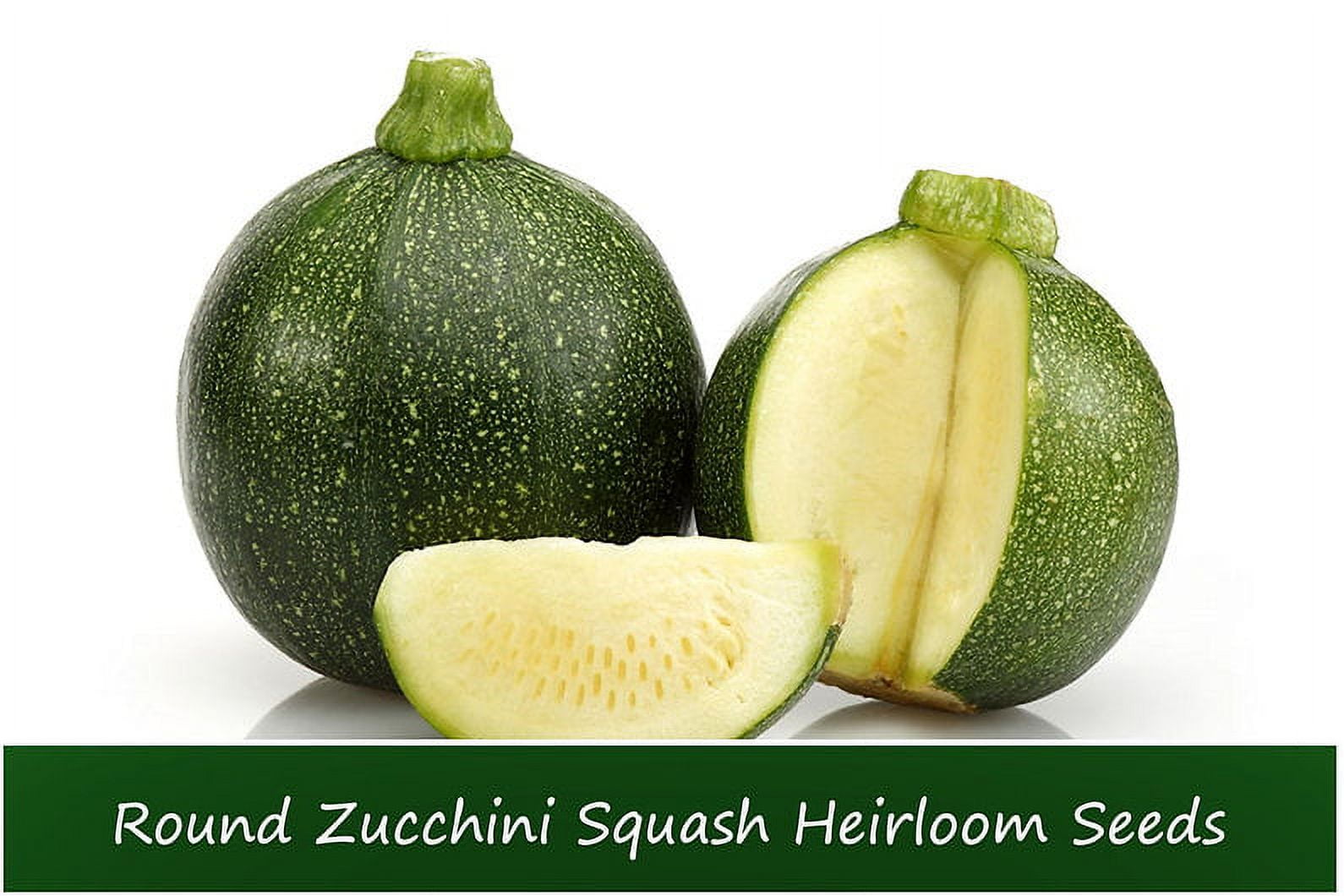 Vegetable Seeds - Squash-Round Zucchini Squash 10 Seeds -Heirloom ...