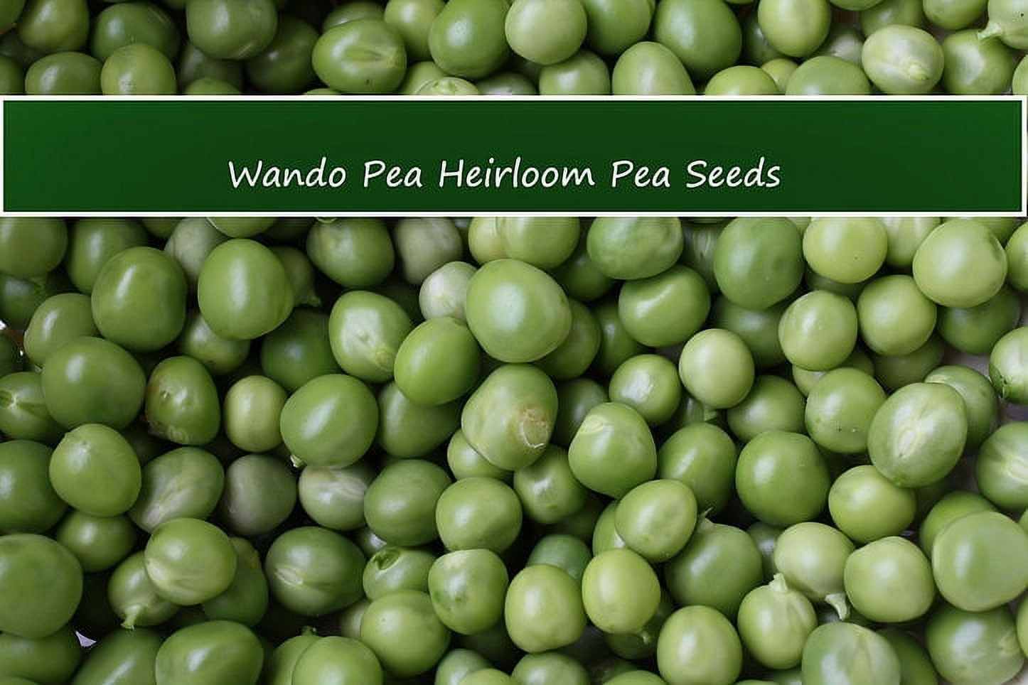 Vegetable Seeds- Wando Sweet Shelling Pea-100 Heirloom Seeds- All ...