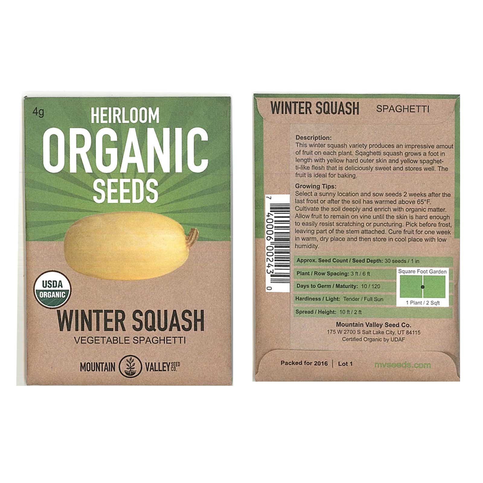 Vegetable Spaghetti Winter Squash Garden Seeds - 4 g Packet - Organic ...