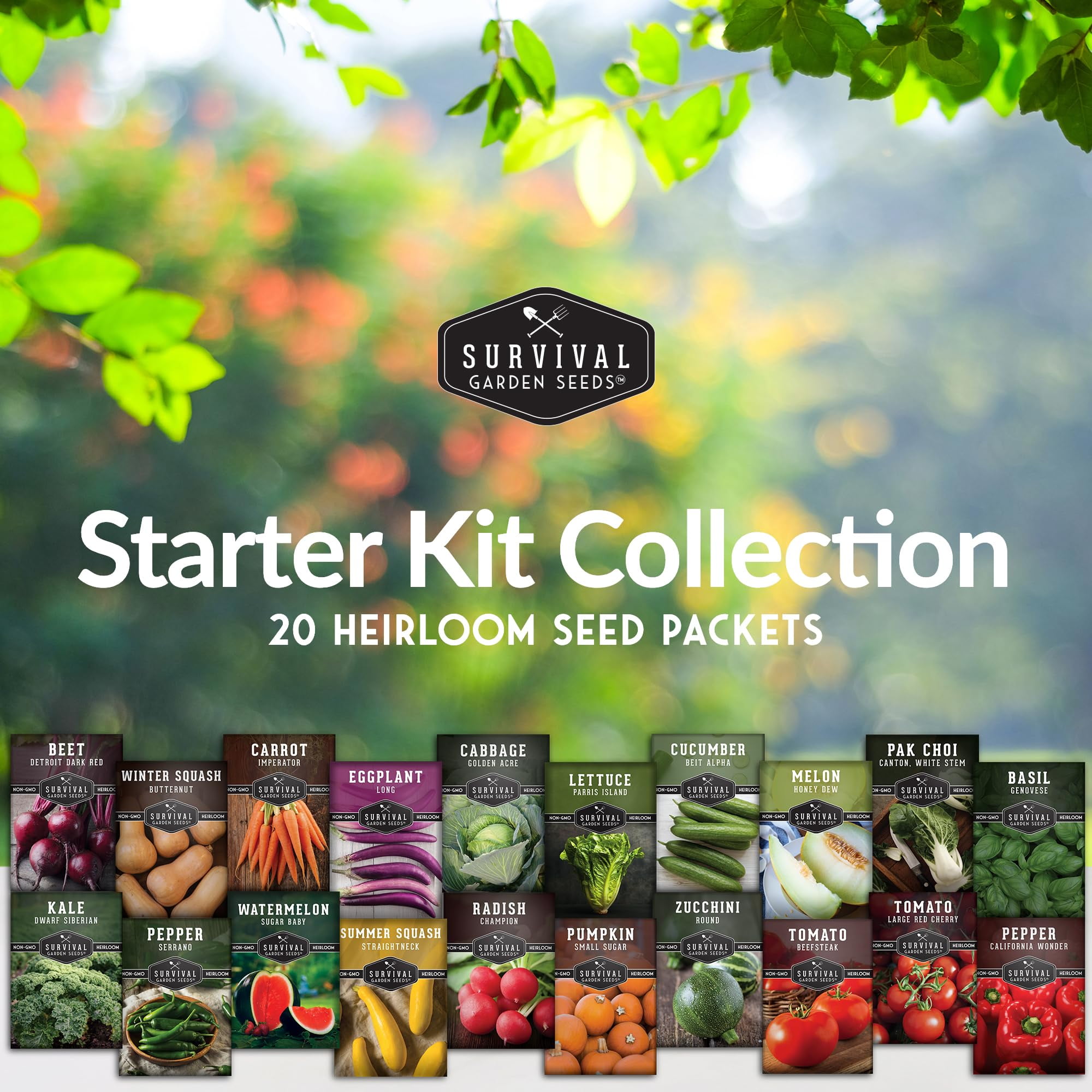Vegetable Starter Kit FEV6 Seed Vault - 20 Delicious Varieties Non-GMO Heirloom Non-Hybrid Seeds ...